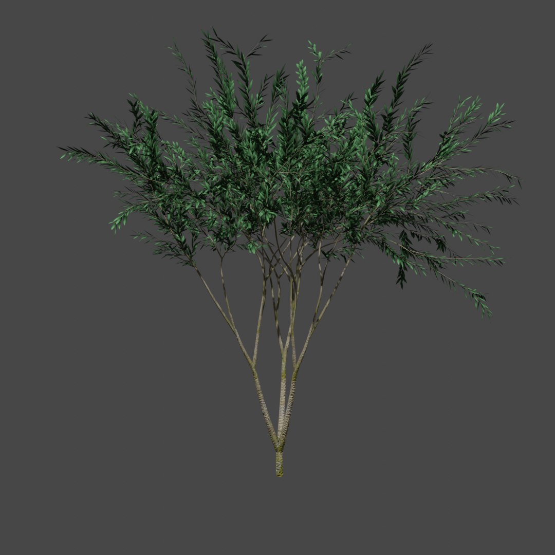 Tree Pbr Model - TurboSquid 1528834