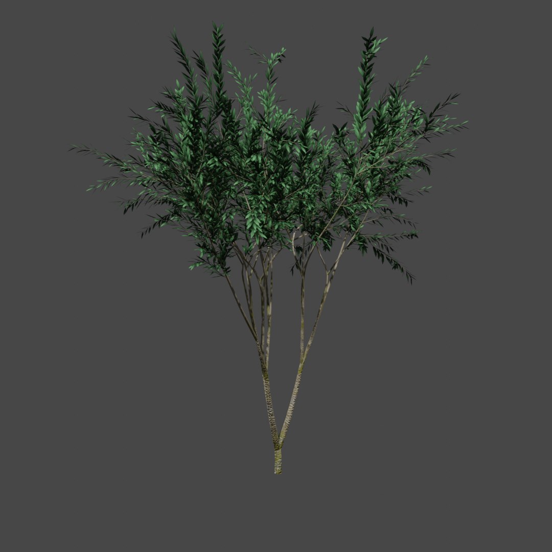 Tree Pbr Model - TurboSquid 1528834