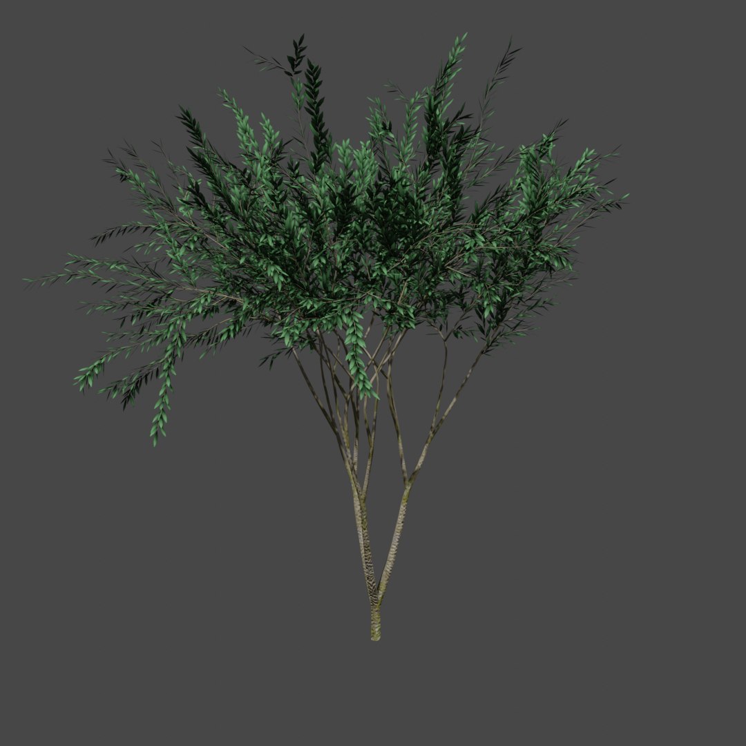 Tree Pbr Model - TurboSquid 1528834
