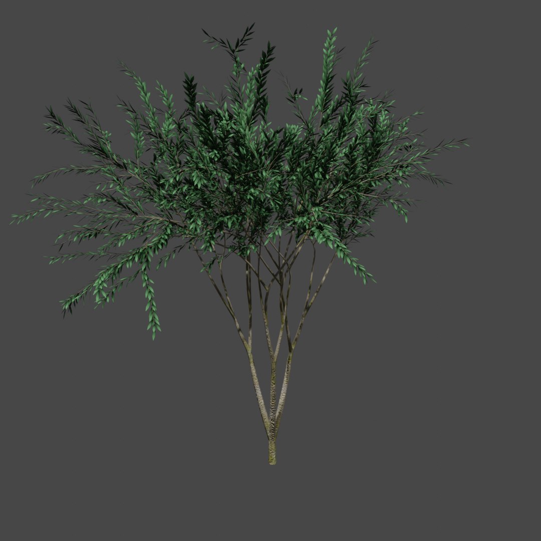 Tree Pbr Model - TurboSquid 1528834