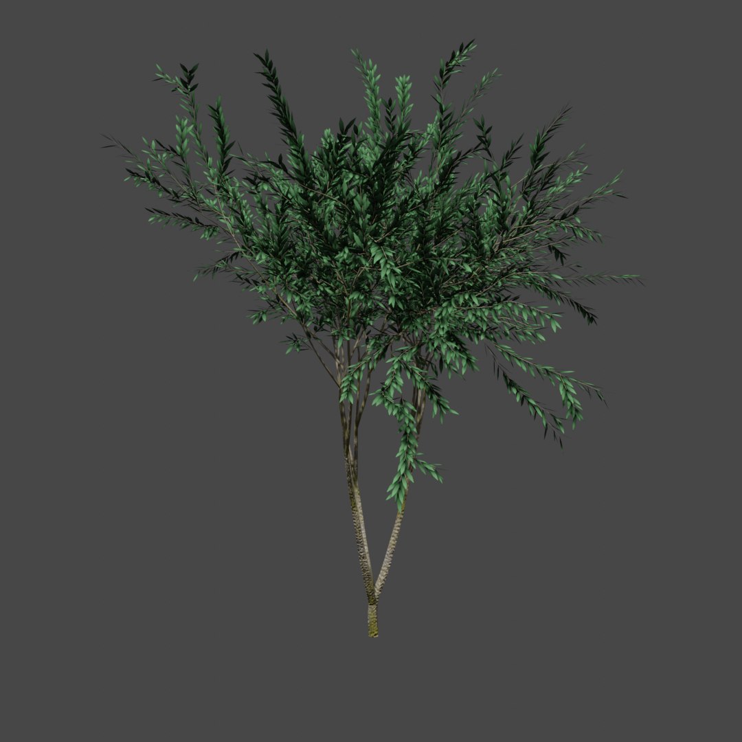 Tree Pbr Model - TurboSquid 1528834