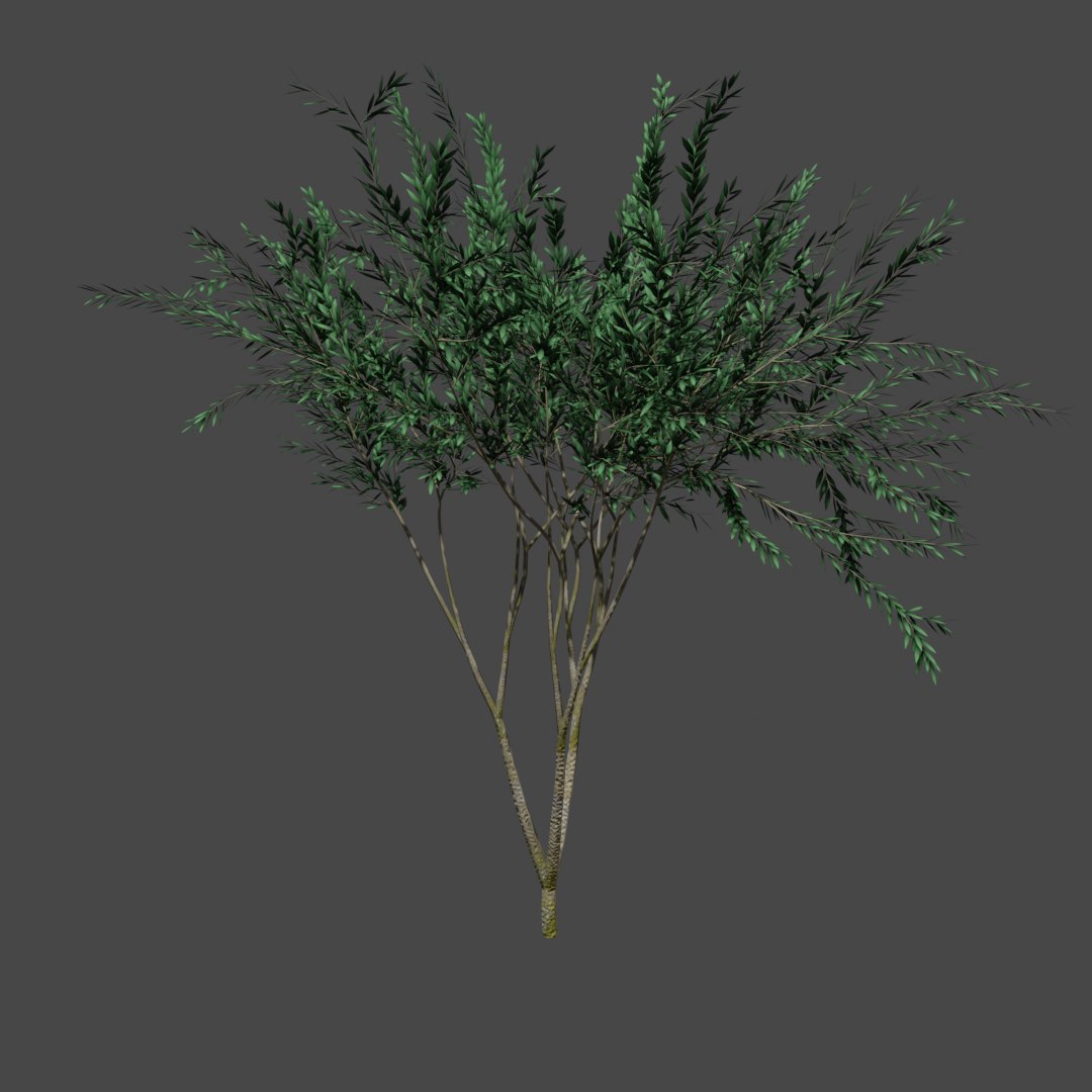 Tree Pbr Model - TurboSquid 1528834