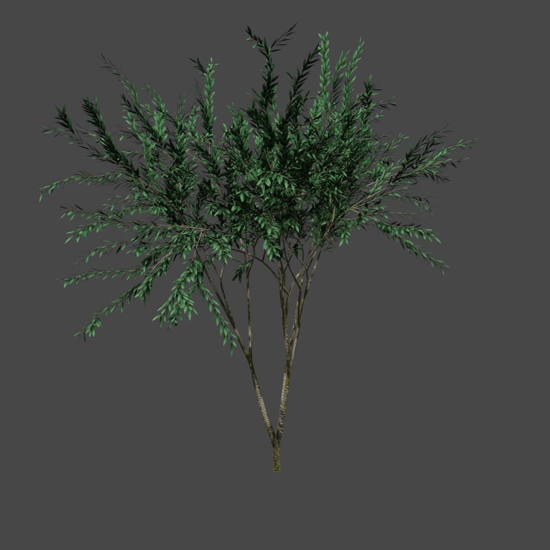 Tree Pbr Model - TurboSquid 1528834