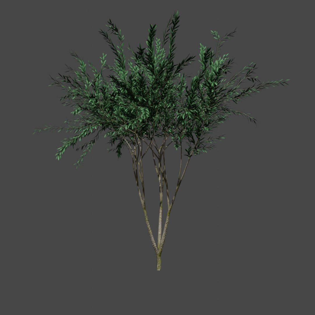 Tree Pbr Model - TurboSquid 1528834