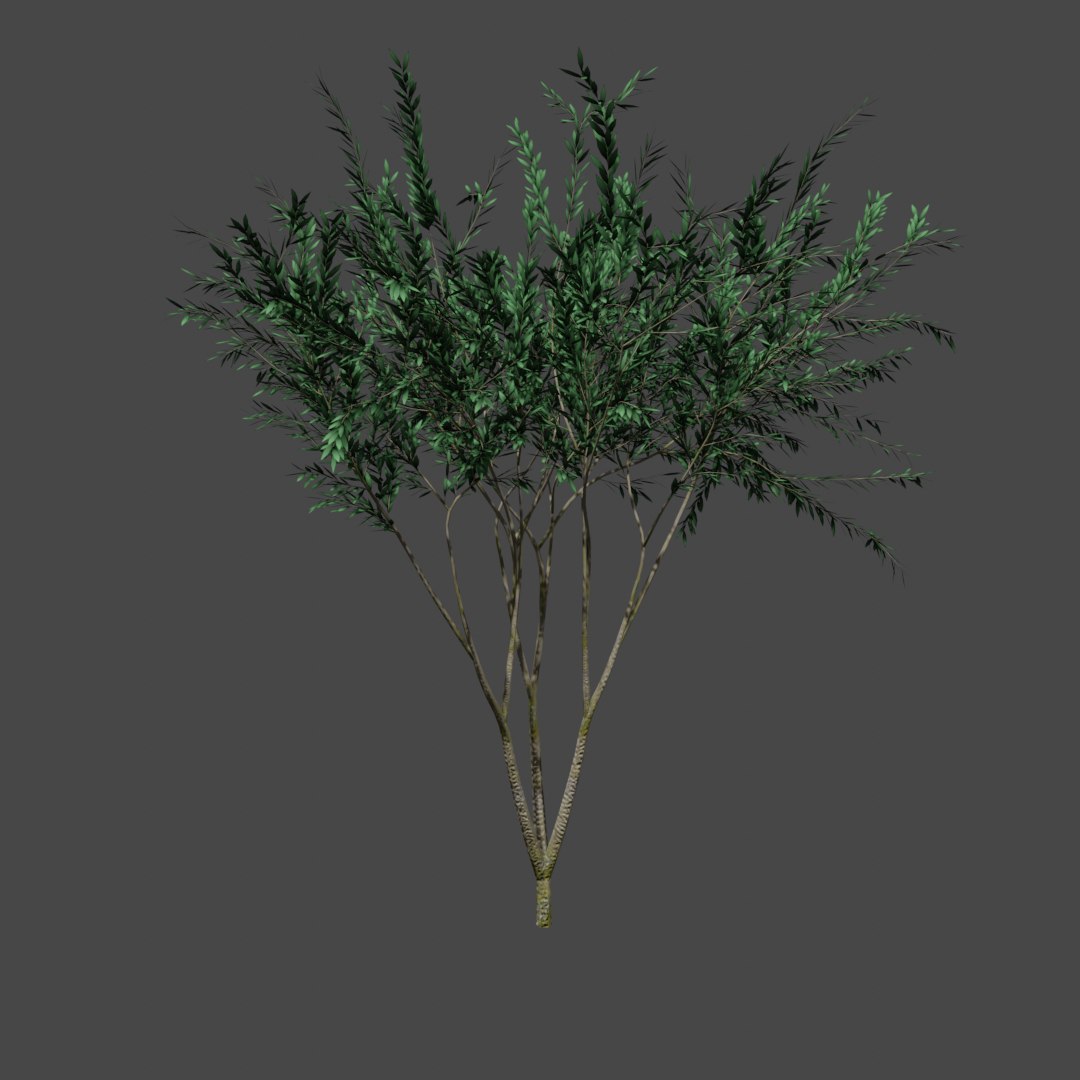 Tree Pbr Model - TurboSquid 1528834