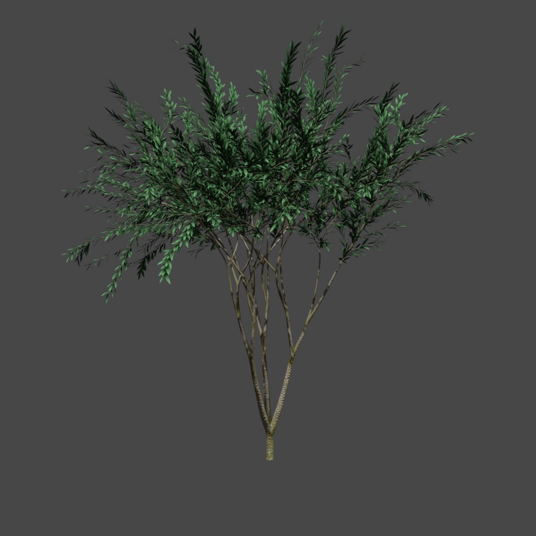 Tree Pbr Model - TurboSquid 1528834