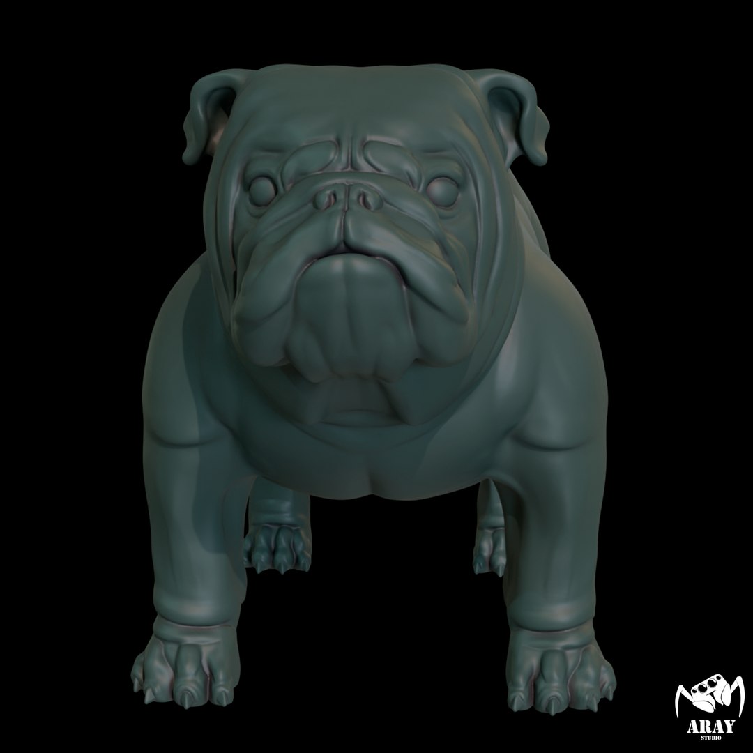 3D Model English Bulldog Stand Pose - TurboSquid 2218928