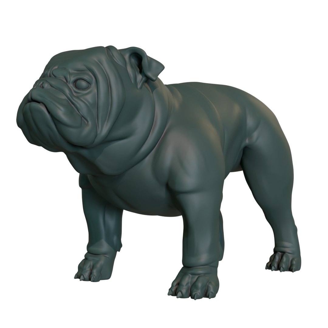 3D Model English Bulldog Stand Pose - TurboSquid 2218928