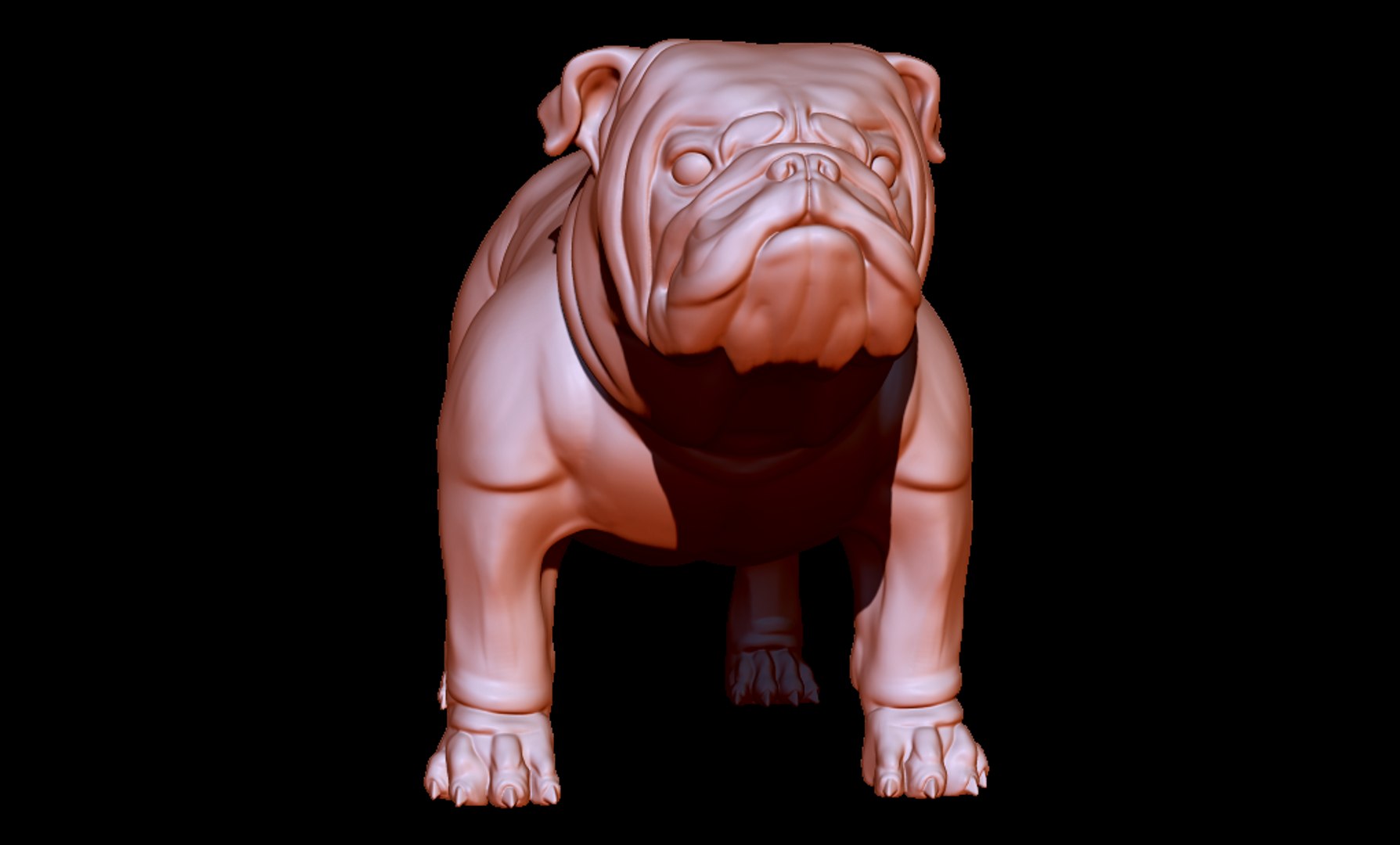 3D Model English Bulldog Stand Pose - TurboSquid 2218928