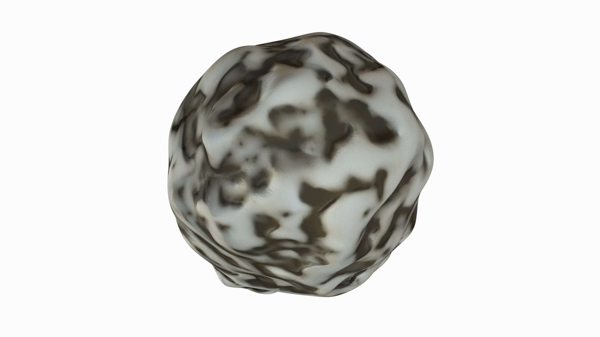 Morel 3D Model - TurboSquid 1957864