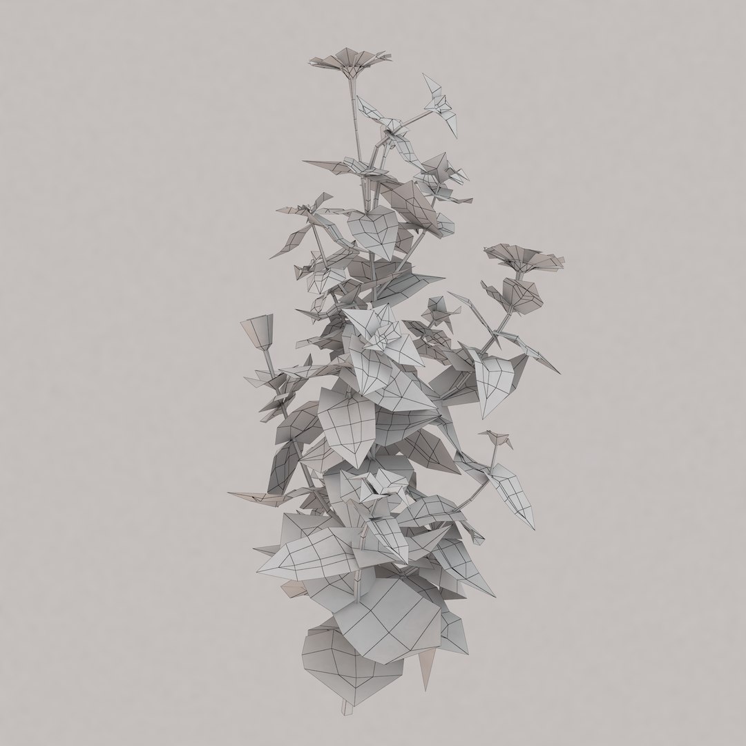 Plant 006 Zinnia 3d Model