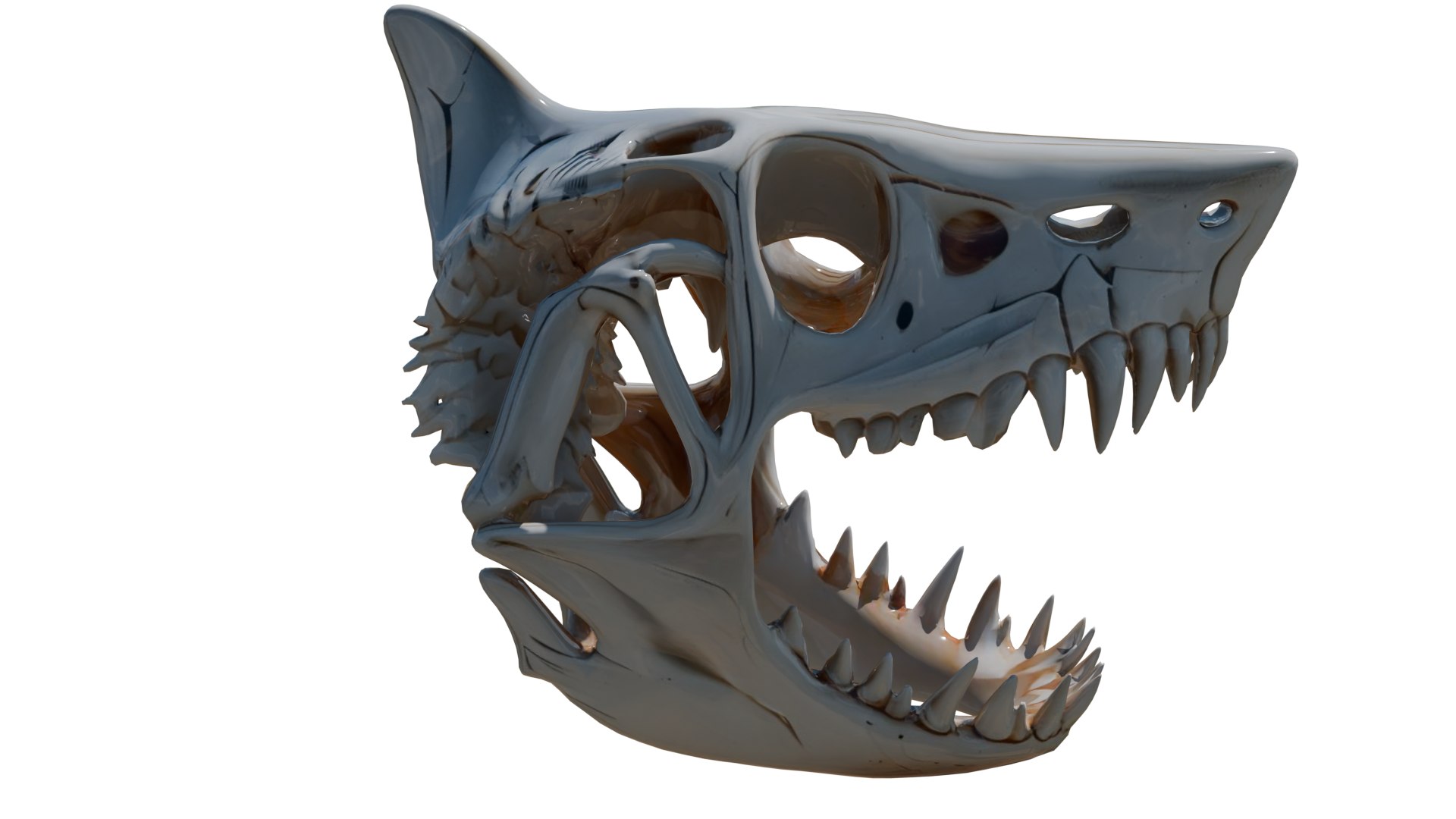 3D Model Realistic 3D Skull Models Collection Dog Shark And Elephant UV ...