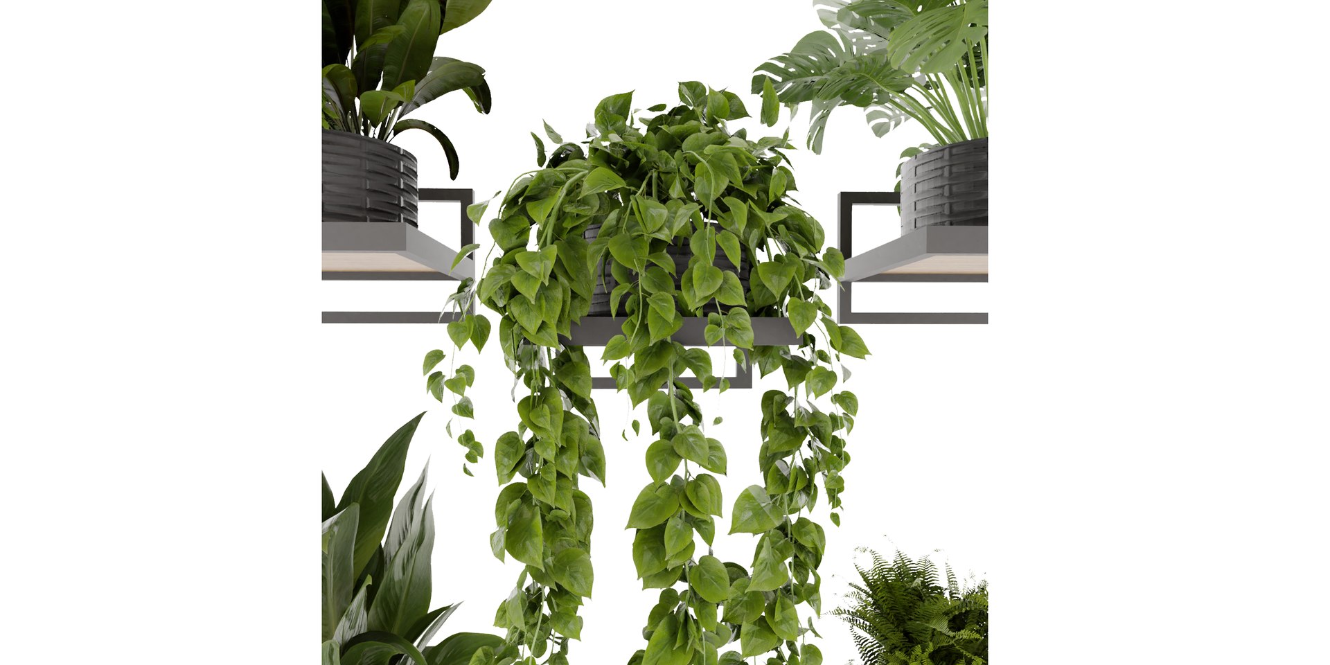 3D Collection Plant Vol 490 - Blender Model - TurboSquid 2067790