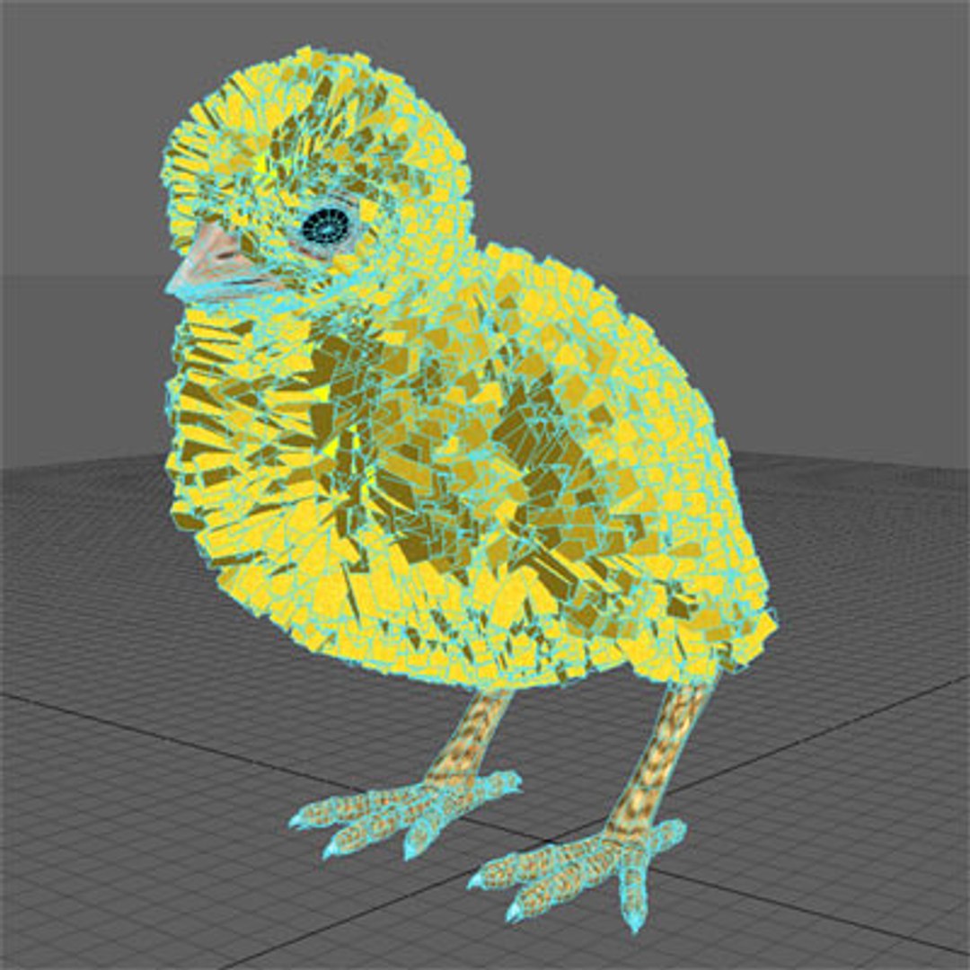 Poult Chicken 3d Lwo