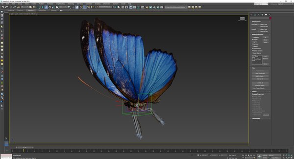 3D Butterfly model - TurboSquid 1754911
