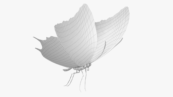 3D Butterfly model - TurboSquid 1754911
