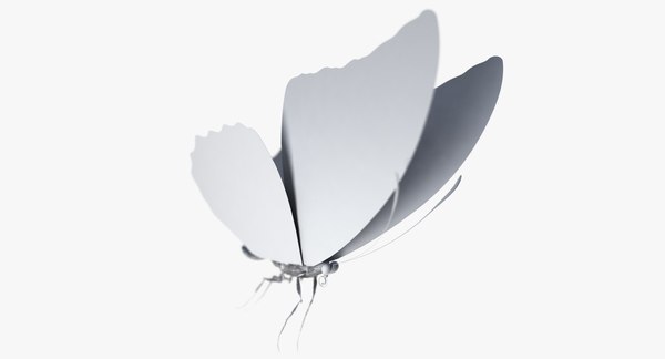 3D Butterfly model - TurboSquid 1754911