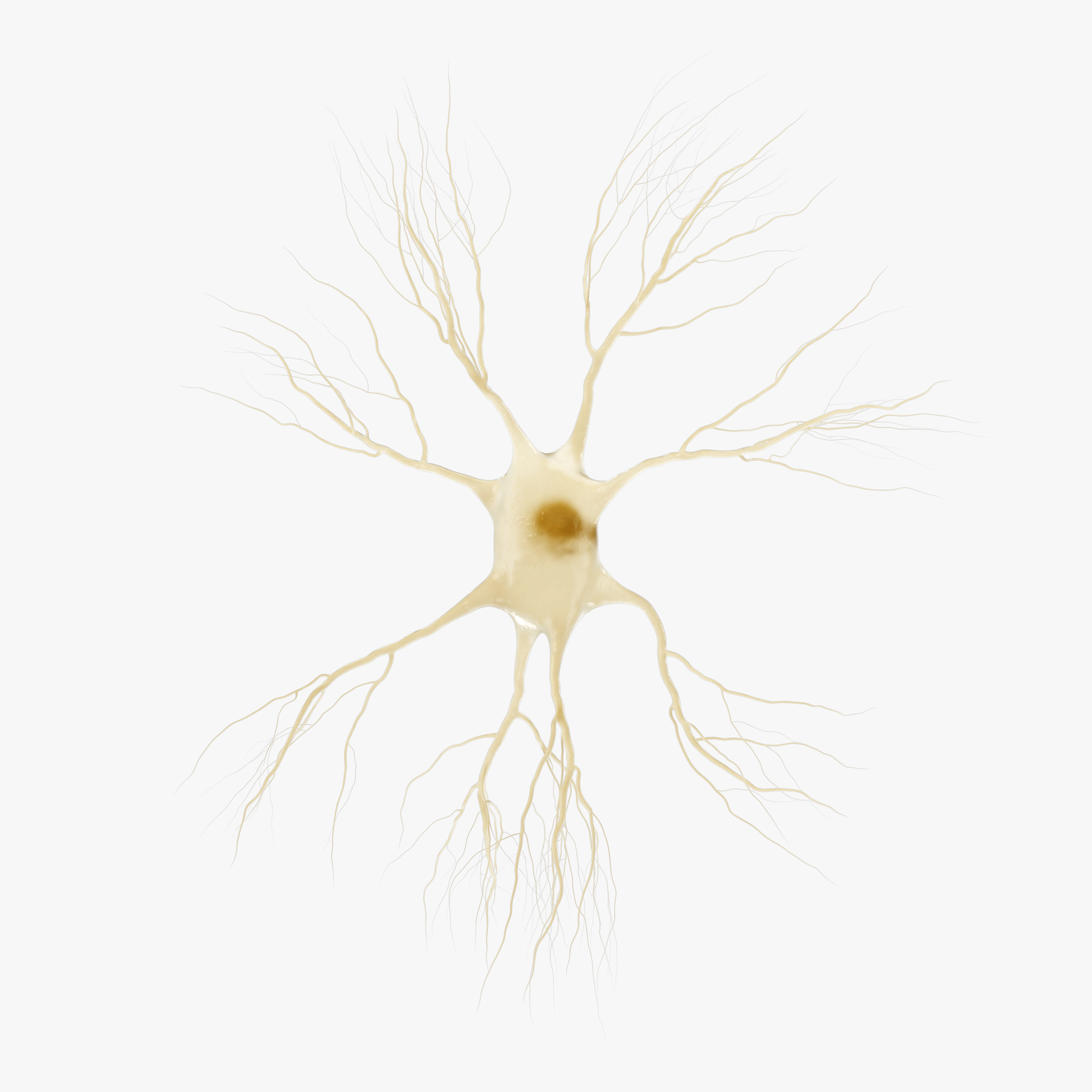 3D astrocyte cell model - TurboSquid 1163842