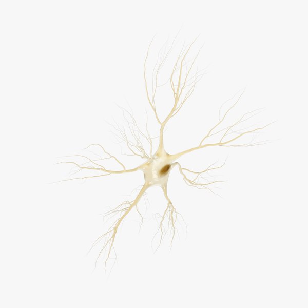 3D astrocyte cell model - TurboSquid 1163842