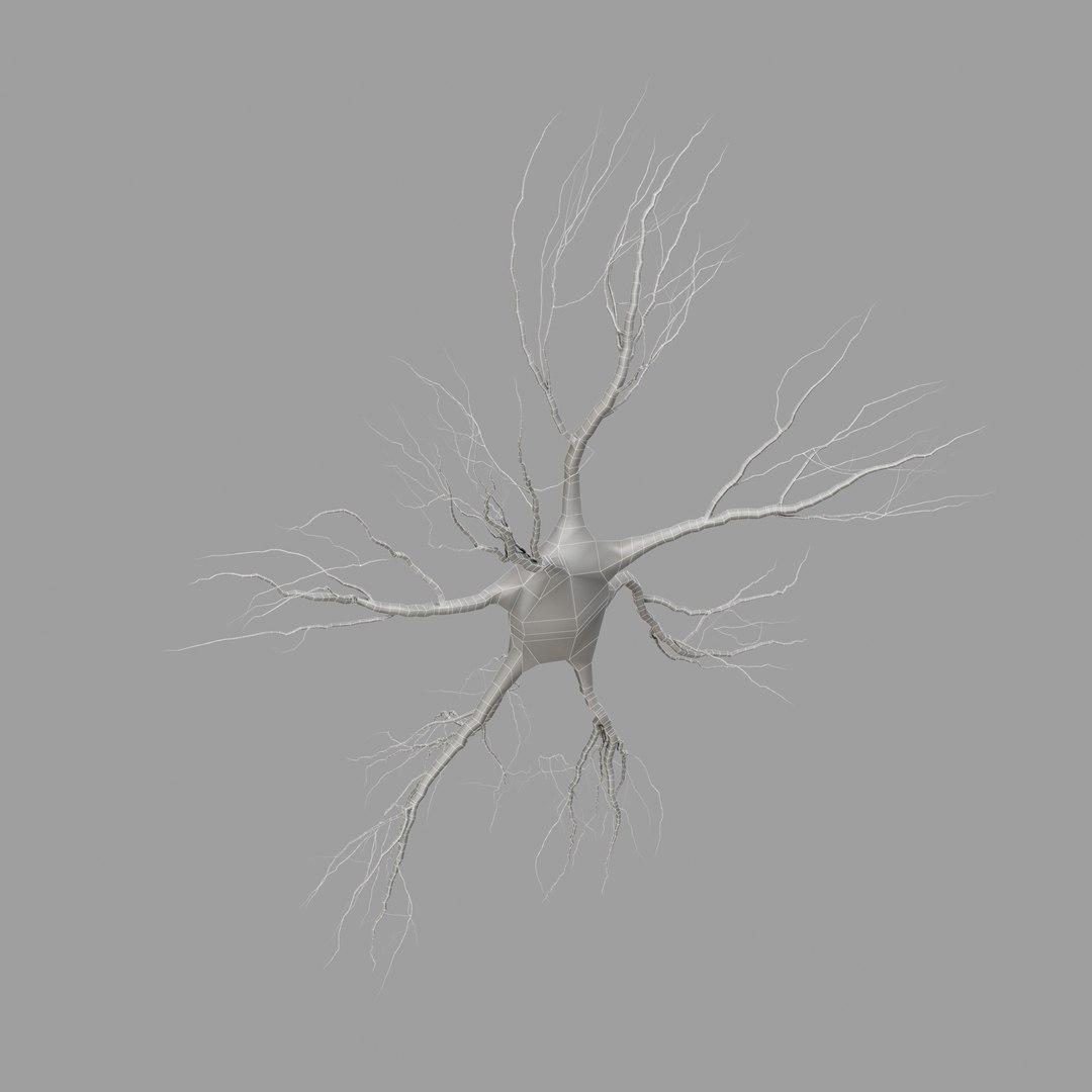 3D Astrocyte Cell Model - TurboSquid 1163842