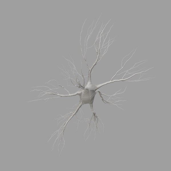 3D astrocyte cell model - TurboSquid 1163842
