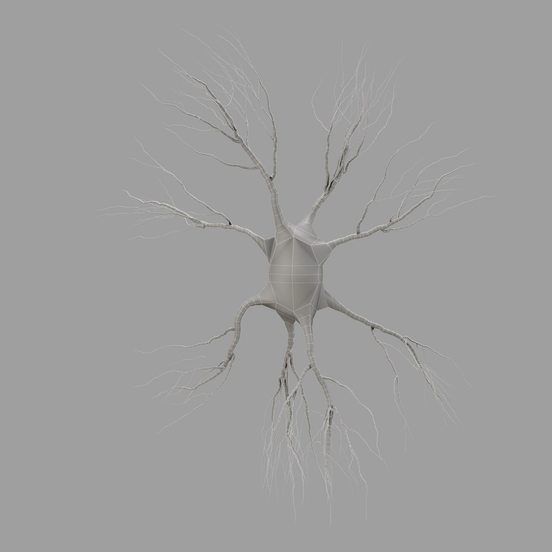 3D Astrocyte Cell Model - TurboSquid 1163842