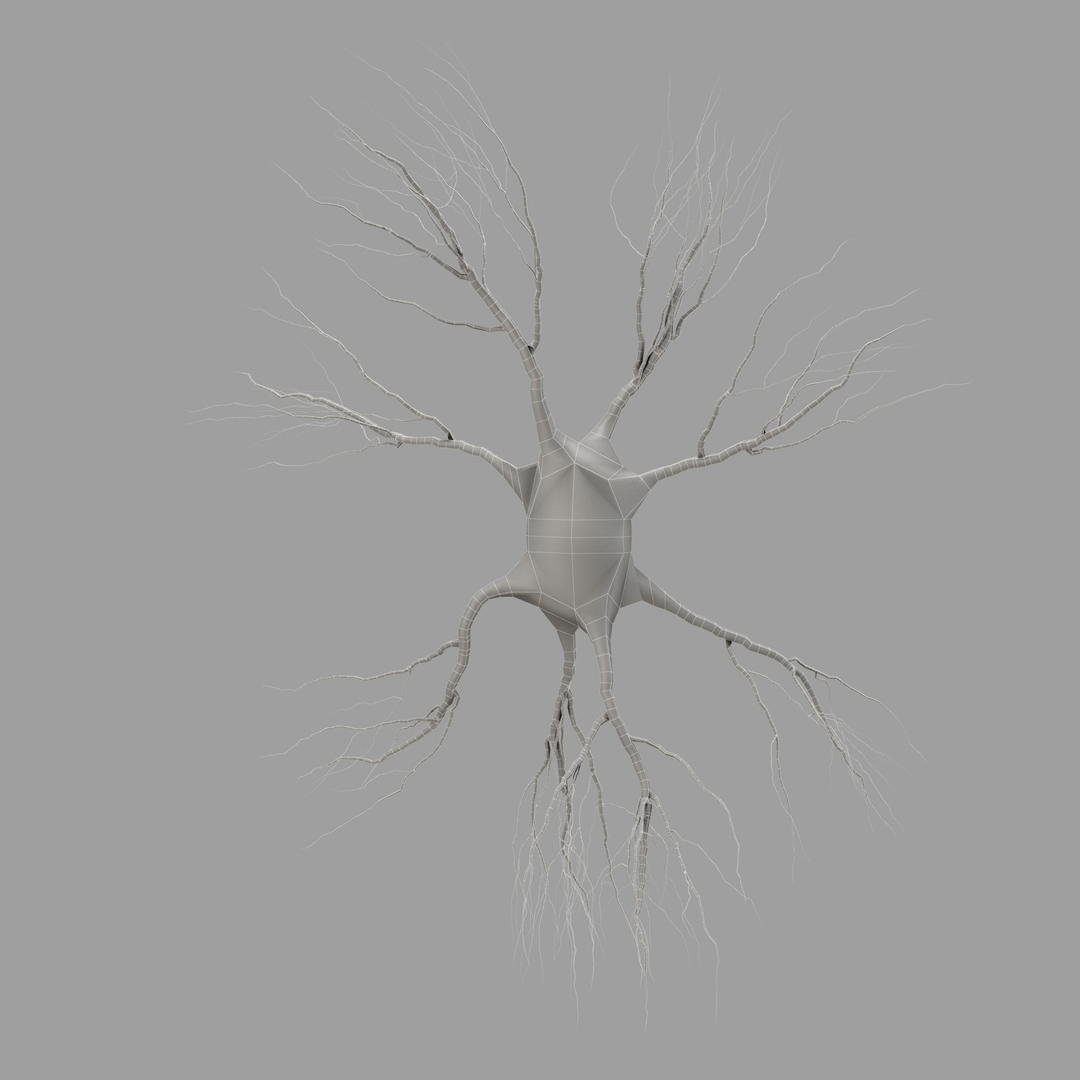 3D astrocyte cell model - TurboSquid 1163842