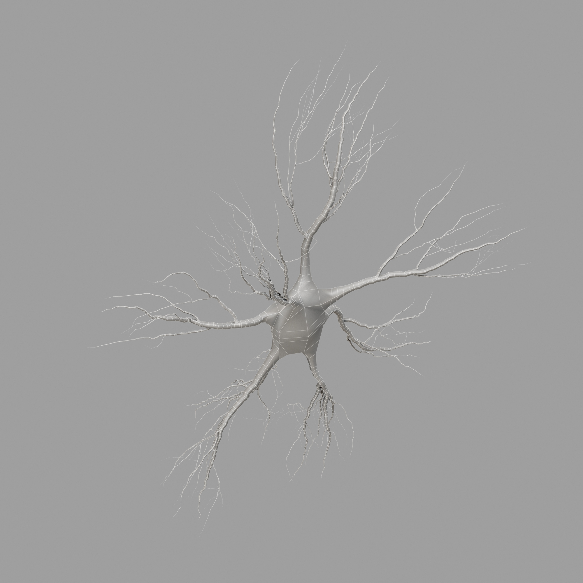 3D astrocyte cell model - TurboSquid 1163842