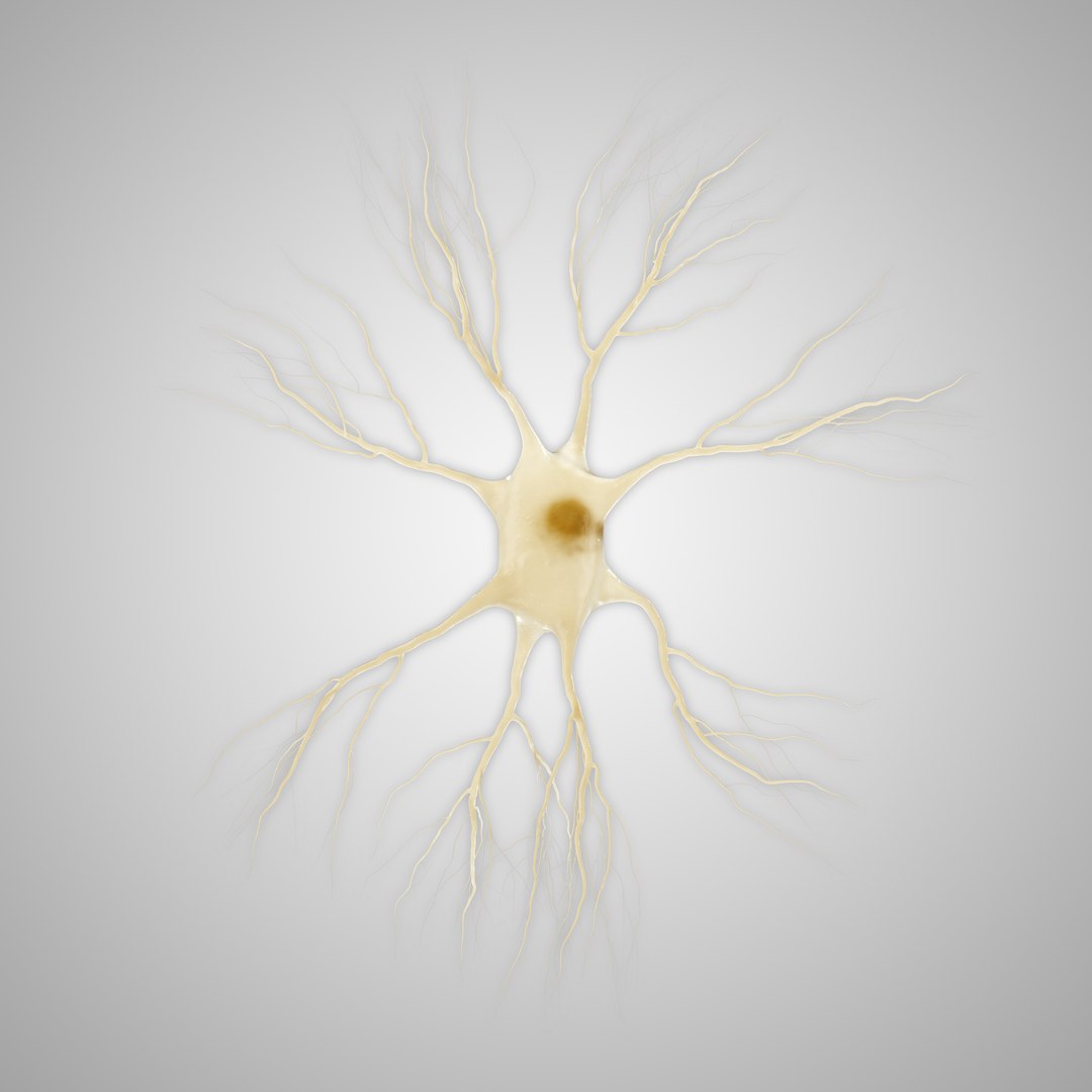 3D Astrocyte Cell Model - TurboSquid 1163842