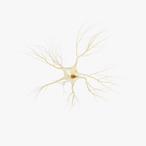 3D astrocyte cell model - TurboSquid 1163842
