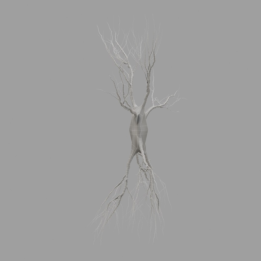 3D Astrocyte Cell Model - TurboSquid 1163842