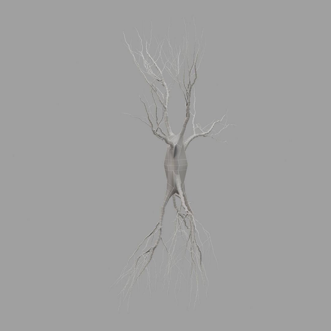 3D astrocyte cell model - TurboSquid 1163842