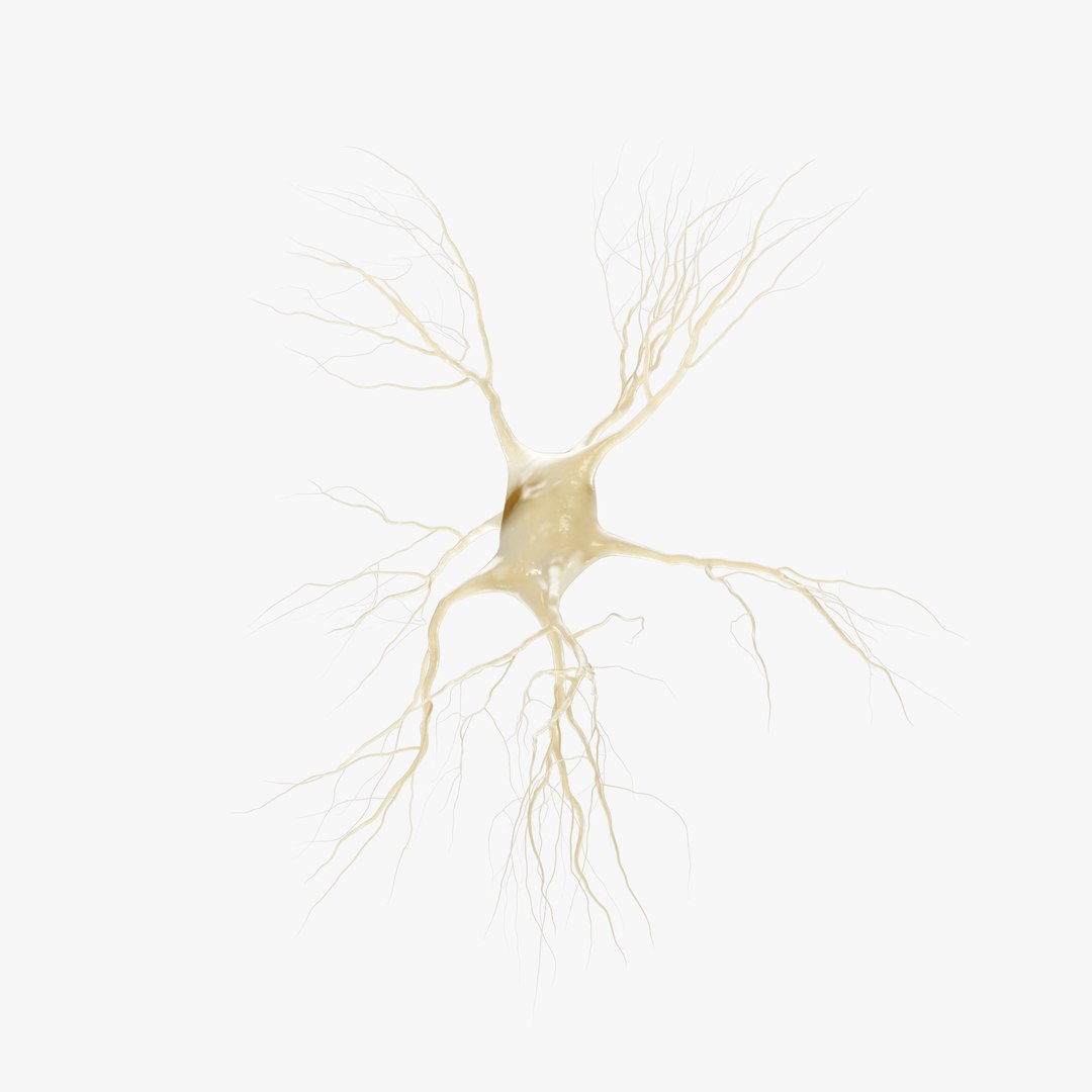 3D Astrocyte Cell Model - TurboSquid 1163842