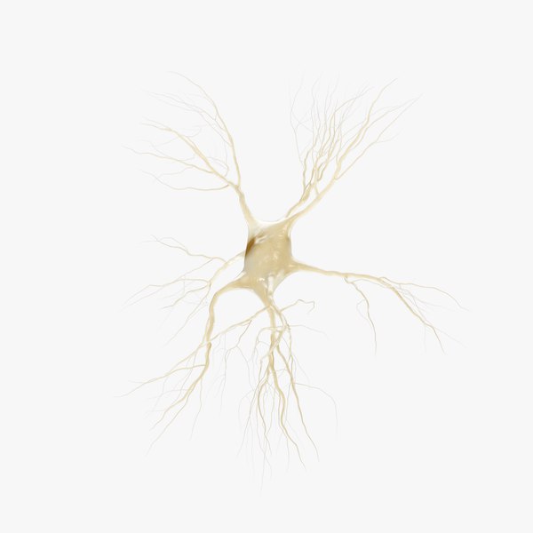 3D astrocyte cell model - TurboSquid 1163842