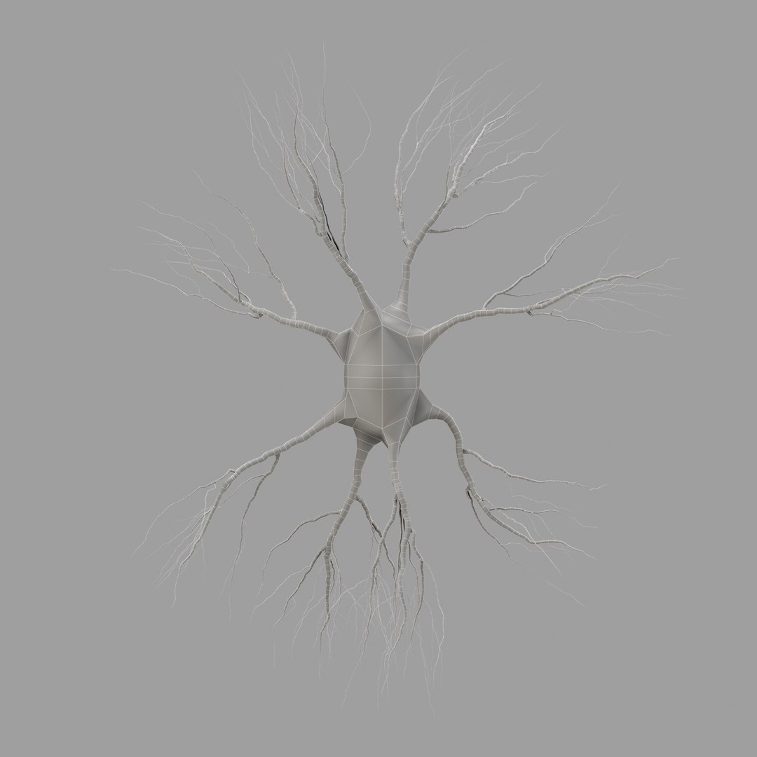 3D Astrocyte Cell Model - TurboSquid 1163842