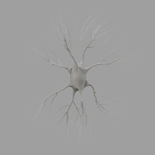 3D astrocyte cell model - TurboSquid 1163842