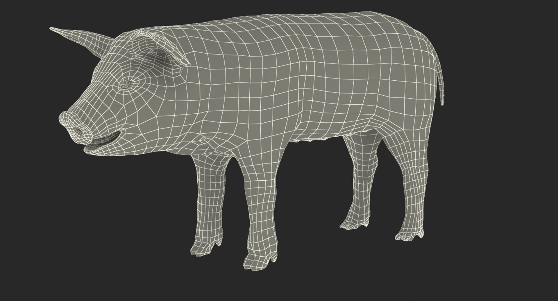 Hampshire Pig Piglet Rigged Model - TurboSquid 1377334