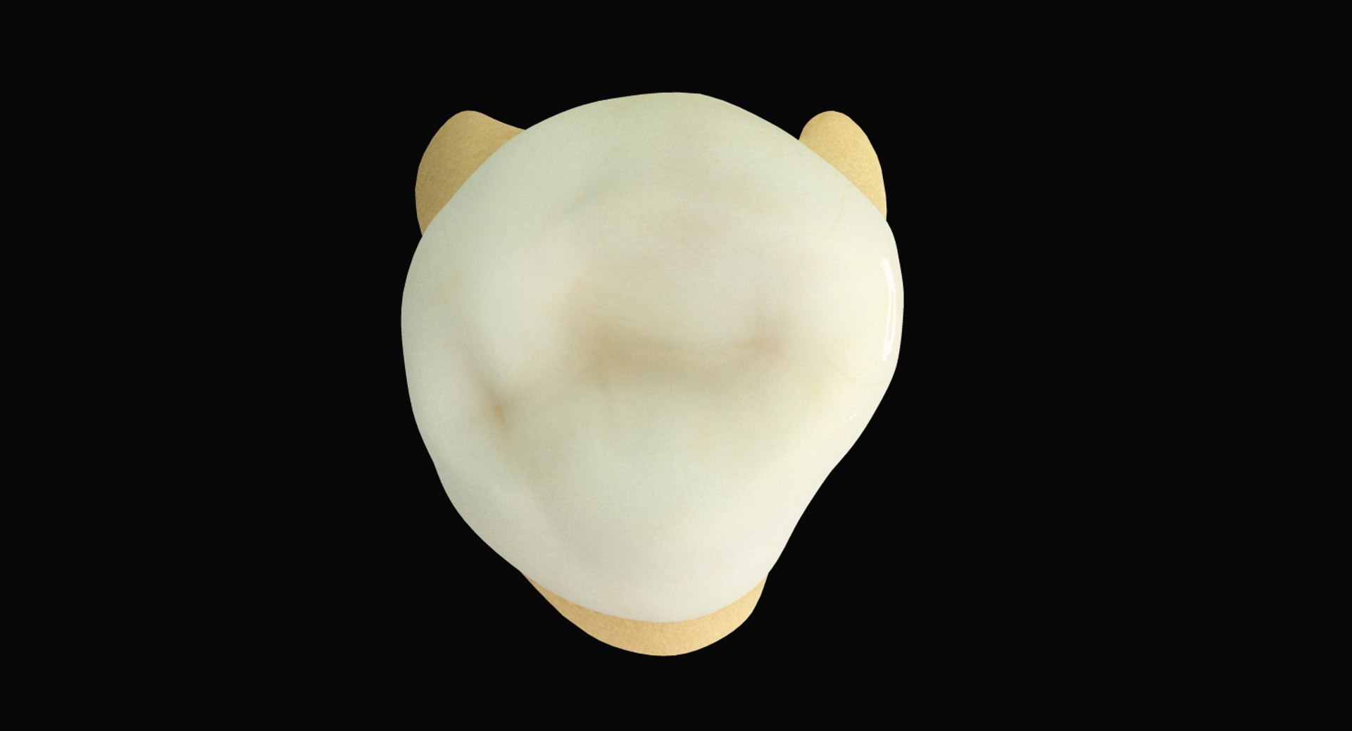 Max Primary Molar