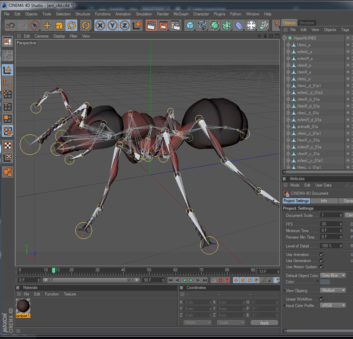 3d Model Ant Rigged
