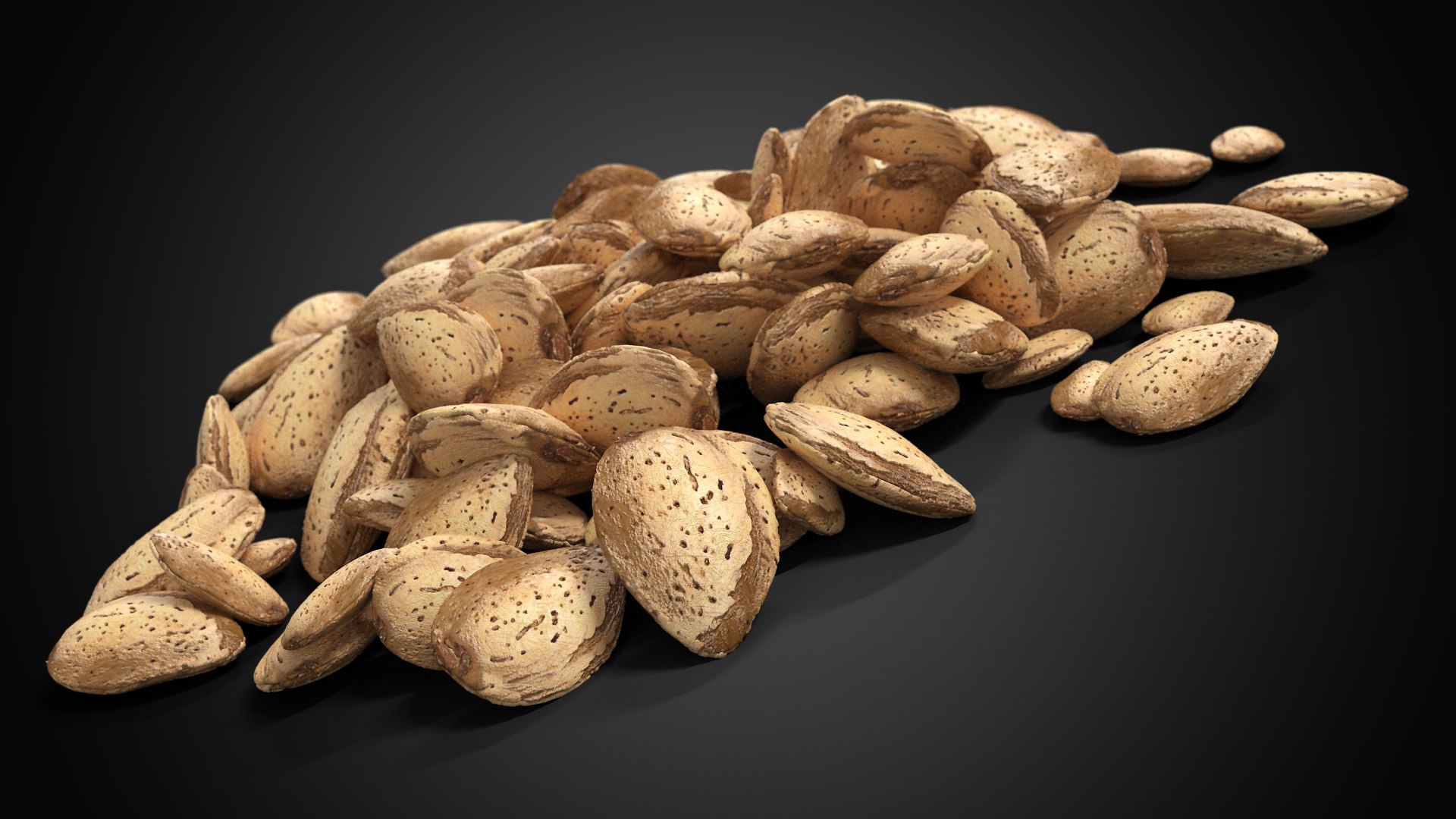 Shell Almond Model - TurboSquid 1712000