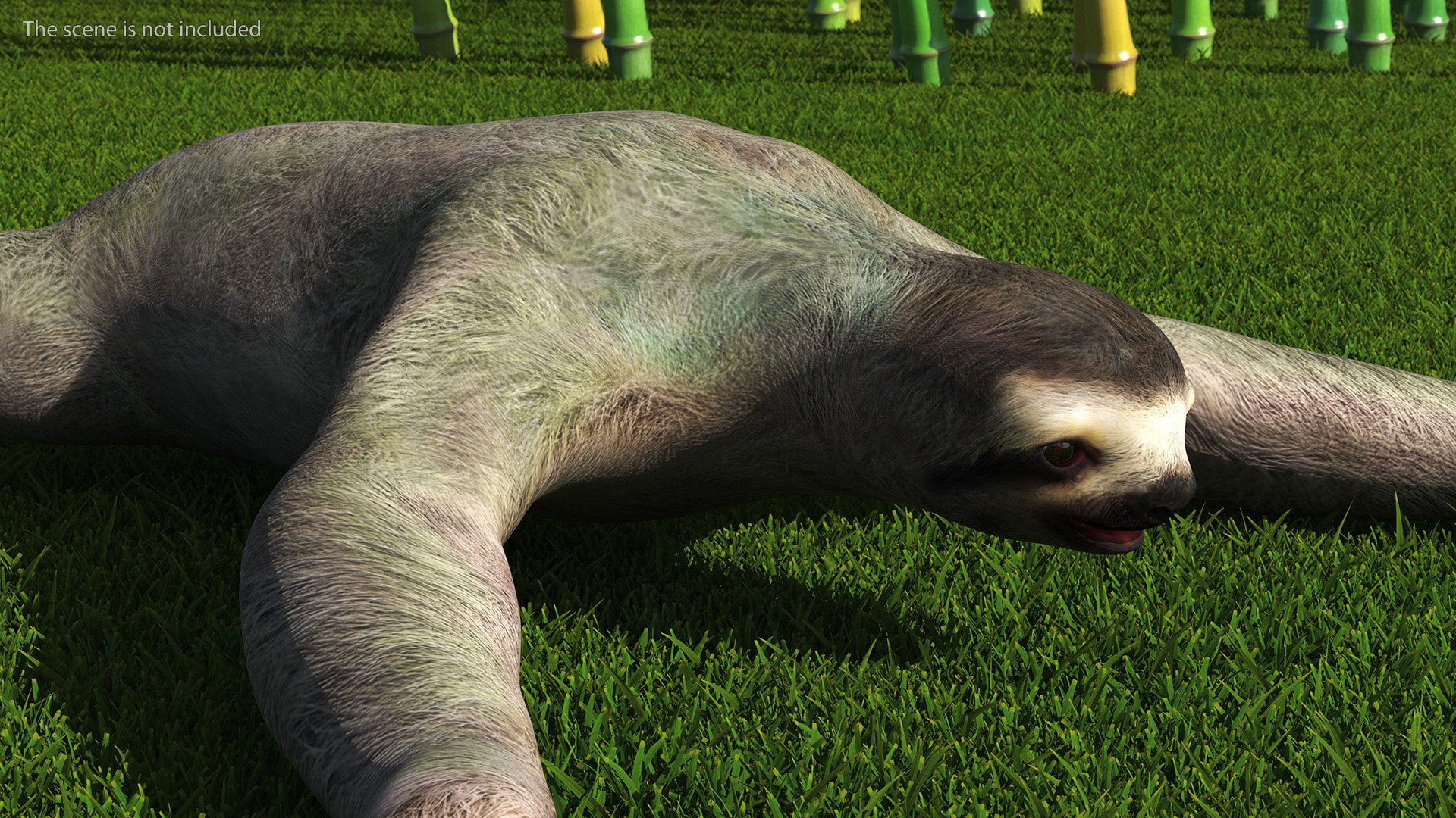 3D Model Sloth Rigged For Cinema 4D - TurboSquid 2185810