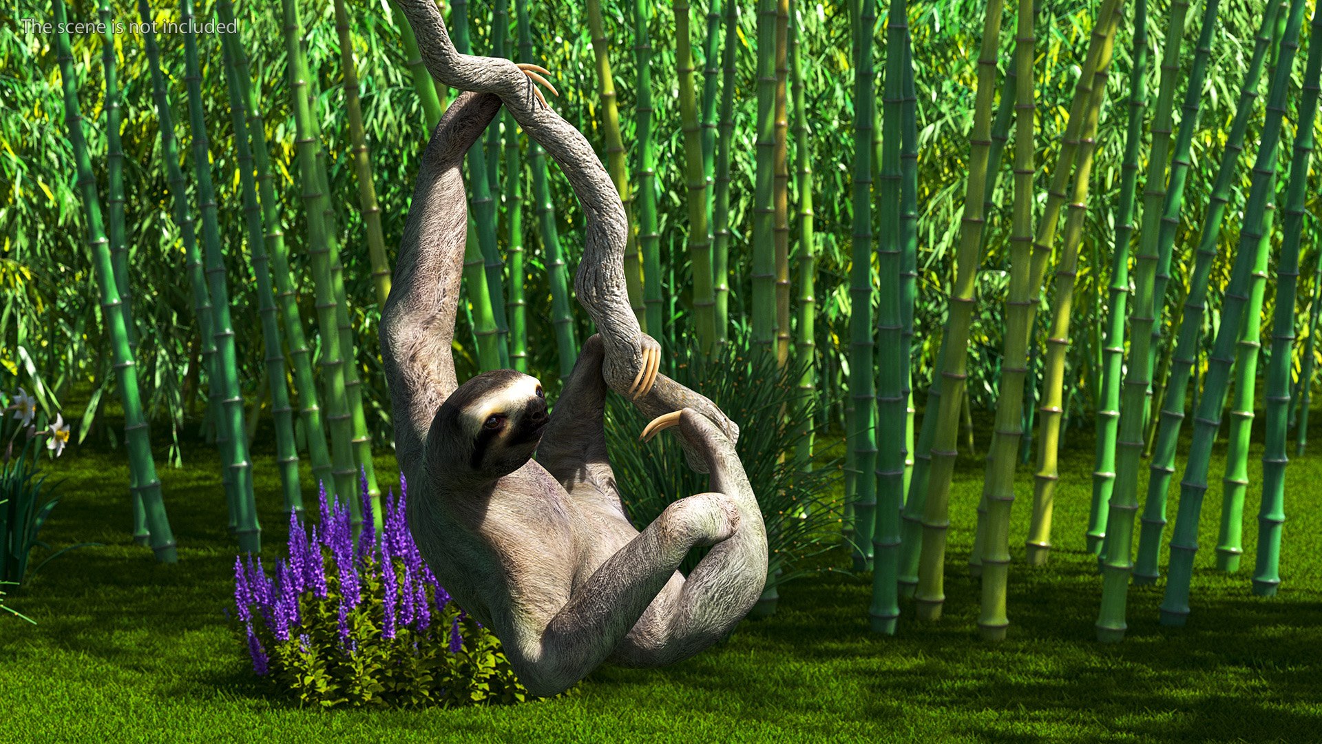 3D Model Sloth Rigged For Cinema 4D - TurboSquid 2185810