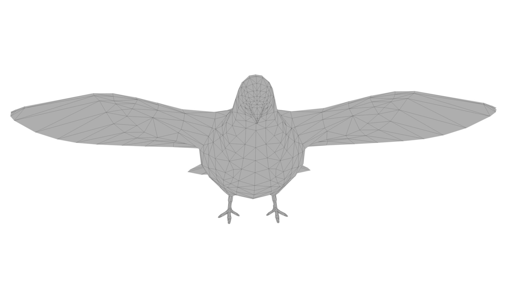 Pigeon Model - TurboSquid 2021972