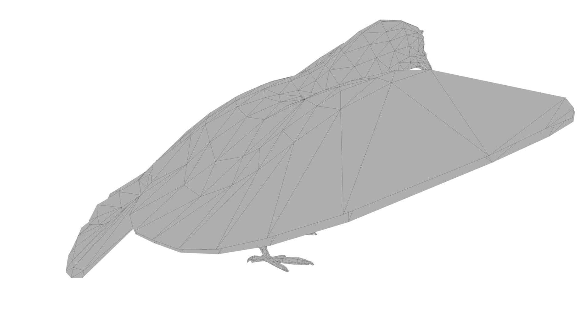 Pigeon Model - TurboSquid 2021972