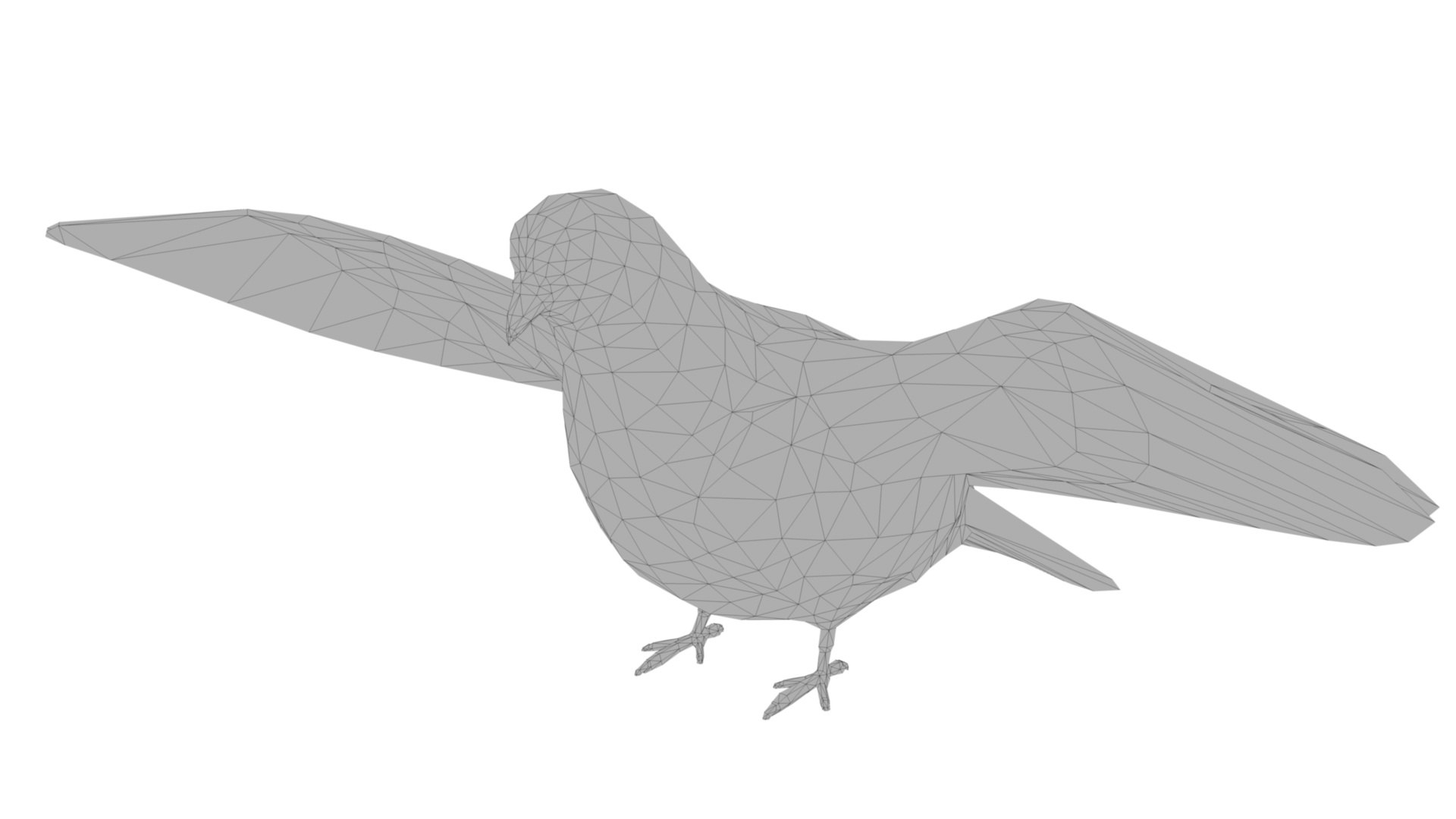 Pigeon Model - TurboSquid 2021972