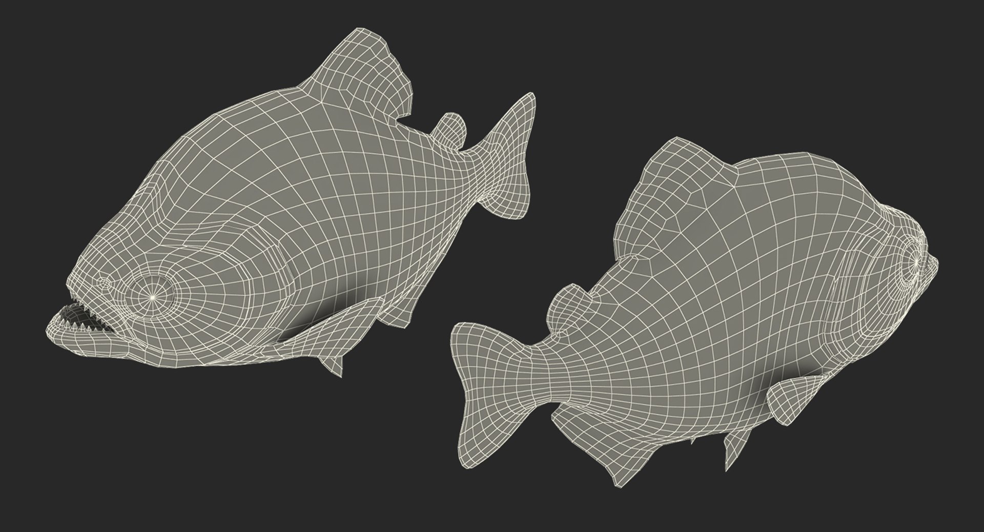 Piranha tropical south 3D model - TurboSquid 1410064