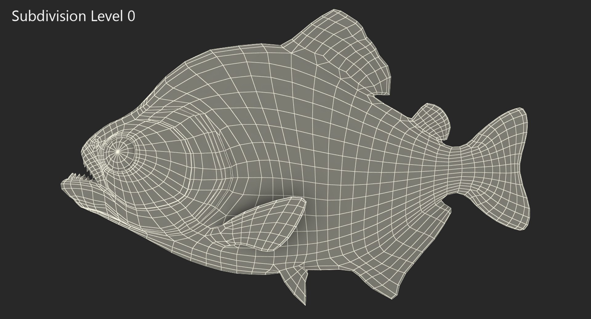 Piranha tropical south 3D model - TurboSquid 1410064