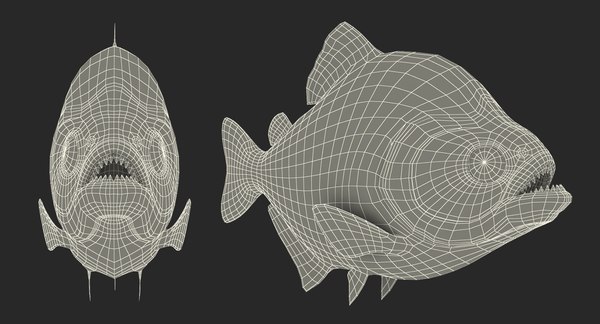 Piranha tropical south 3D model - TurboSquid 1410064