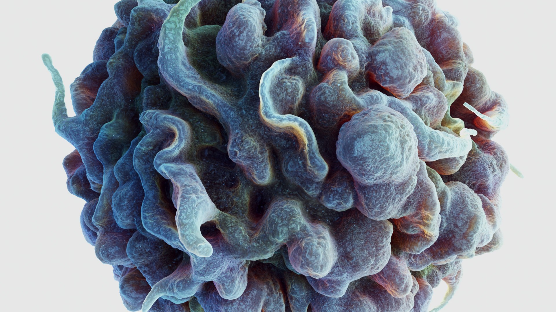 Cancer Cell model - TurboSquid 1909141