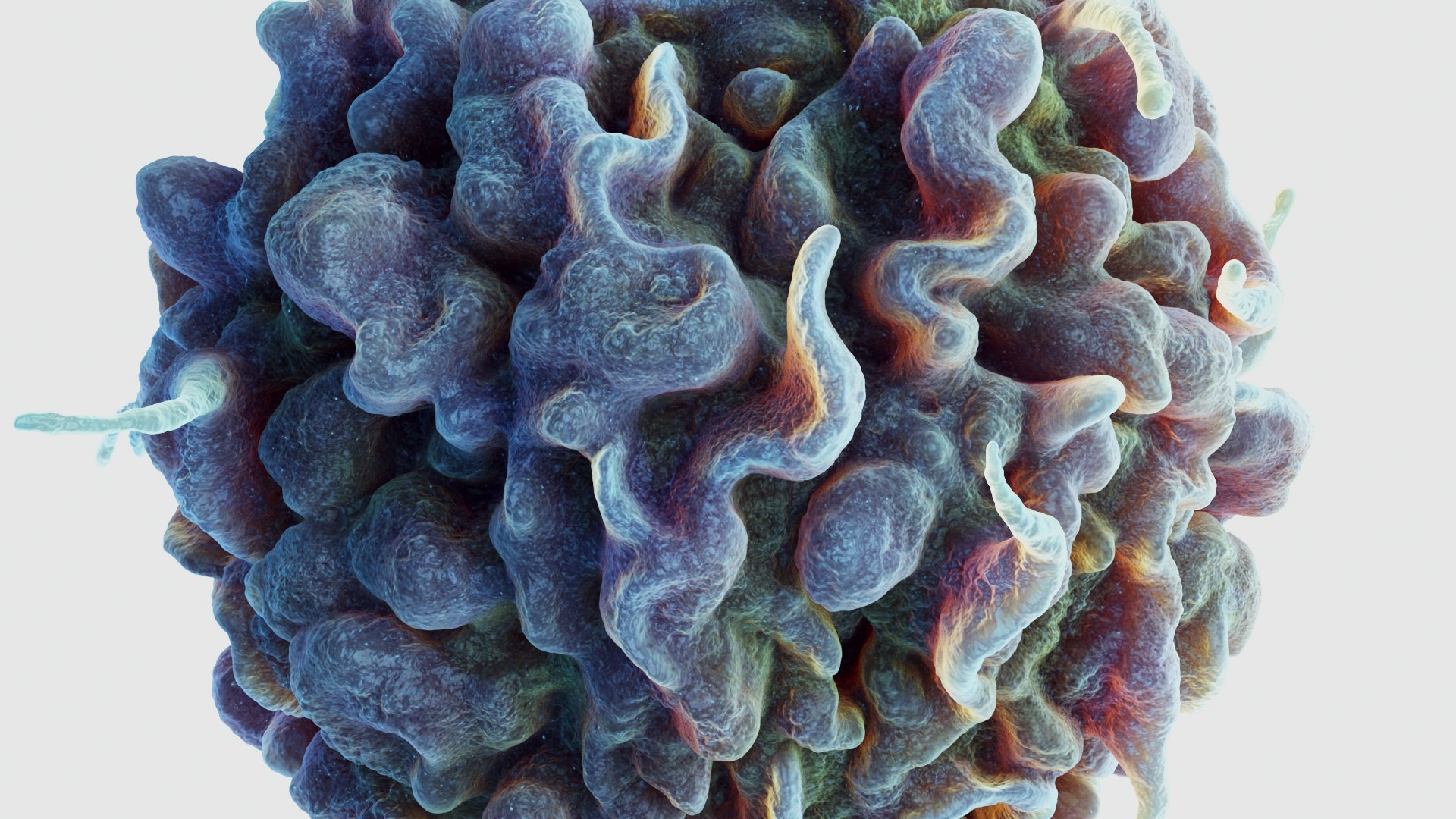 Cancer Cell model - TurboSquid 1909141